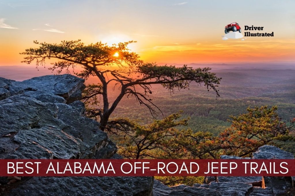 The 9 Best Alabama OHV Trails for Jeeps and 4x4s – Driver Illustrated