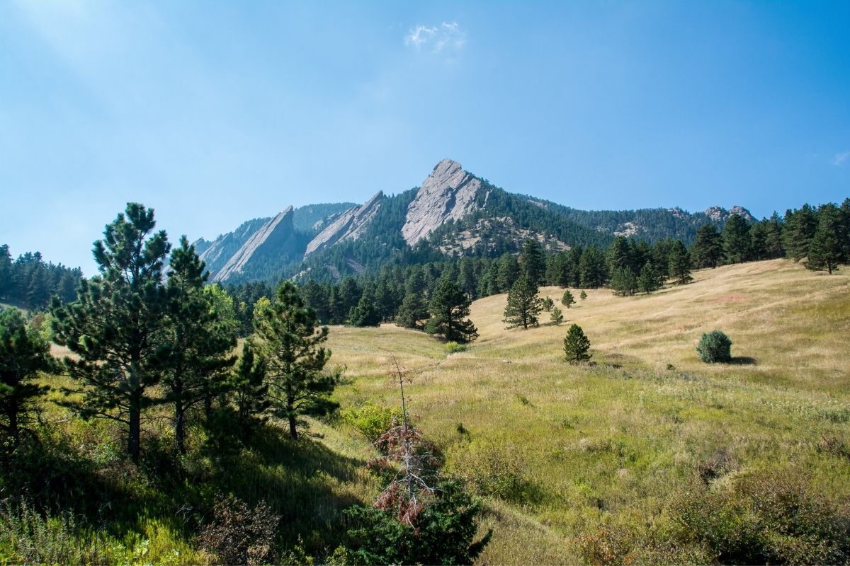 Off-Roading 101: Your Guide to the Best Jeep Trails in Montana – Driver ...